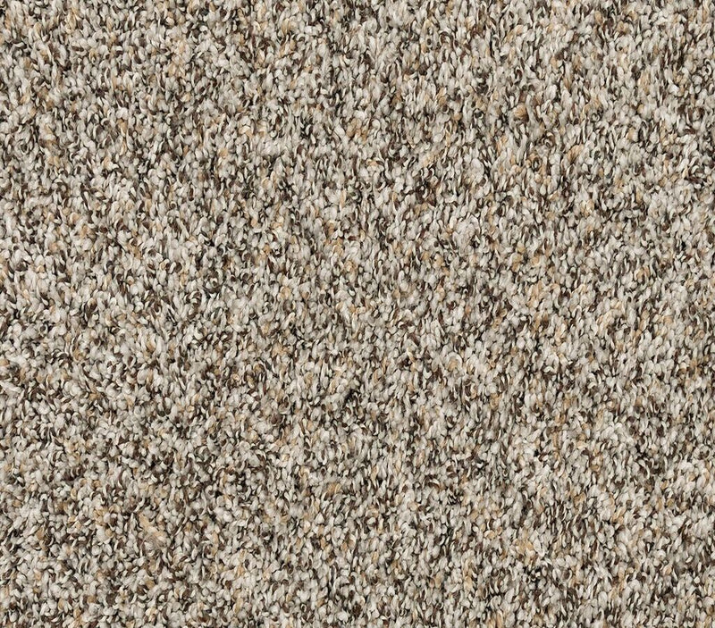 Purrsonality III Highway – RiteRug Flooring