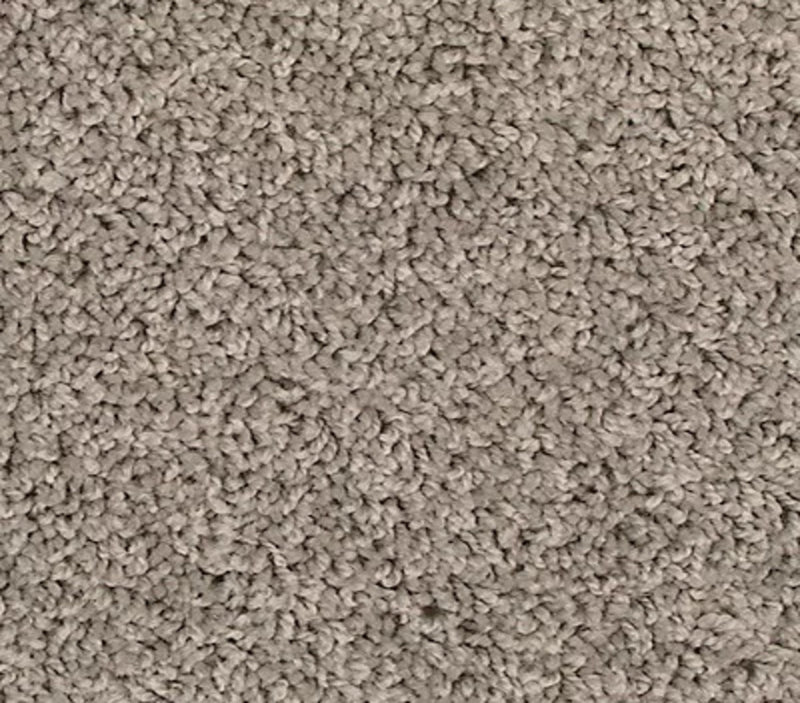 Spectrum Winter Ash – RiteRug Flooring